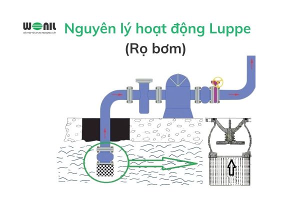 Luppe là gì? Nguyên lý, cấu tạo và ứng dụng của Luppe
