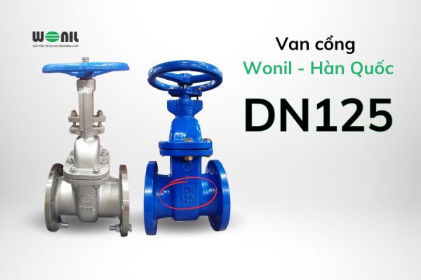 Mua van cổng DN125 Wonil chính hãng, giá tốt nhất 2025
