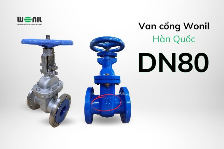 Van cổng DN80 Wonil Hàn Quốc | Gang - Inox | Phi 89mm